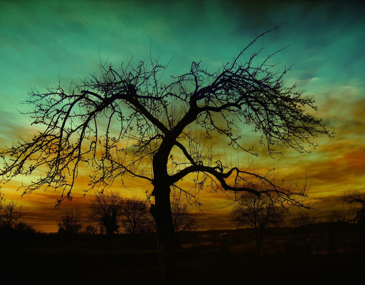 4 Types of Generational Curses | Jake Kail